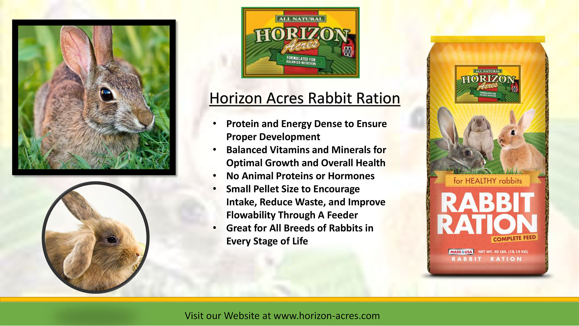 Rabbit | Horizon Acres