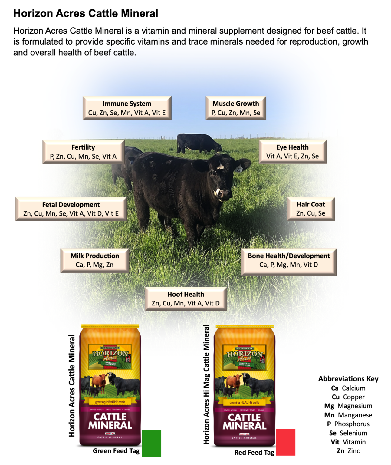 Cattle | Horizon Acres